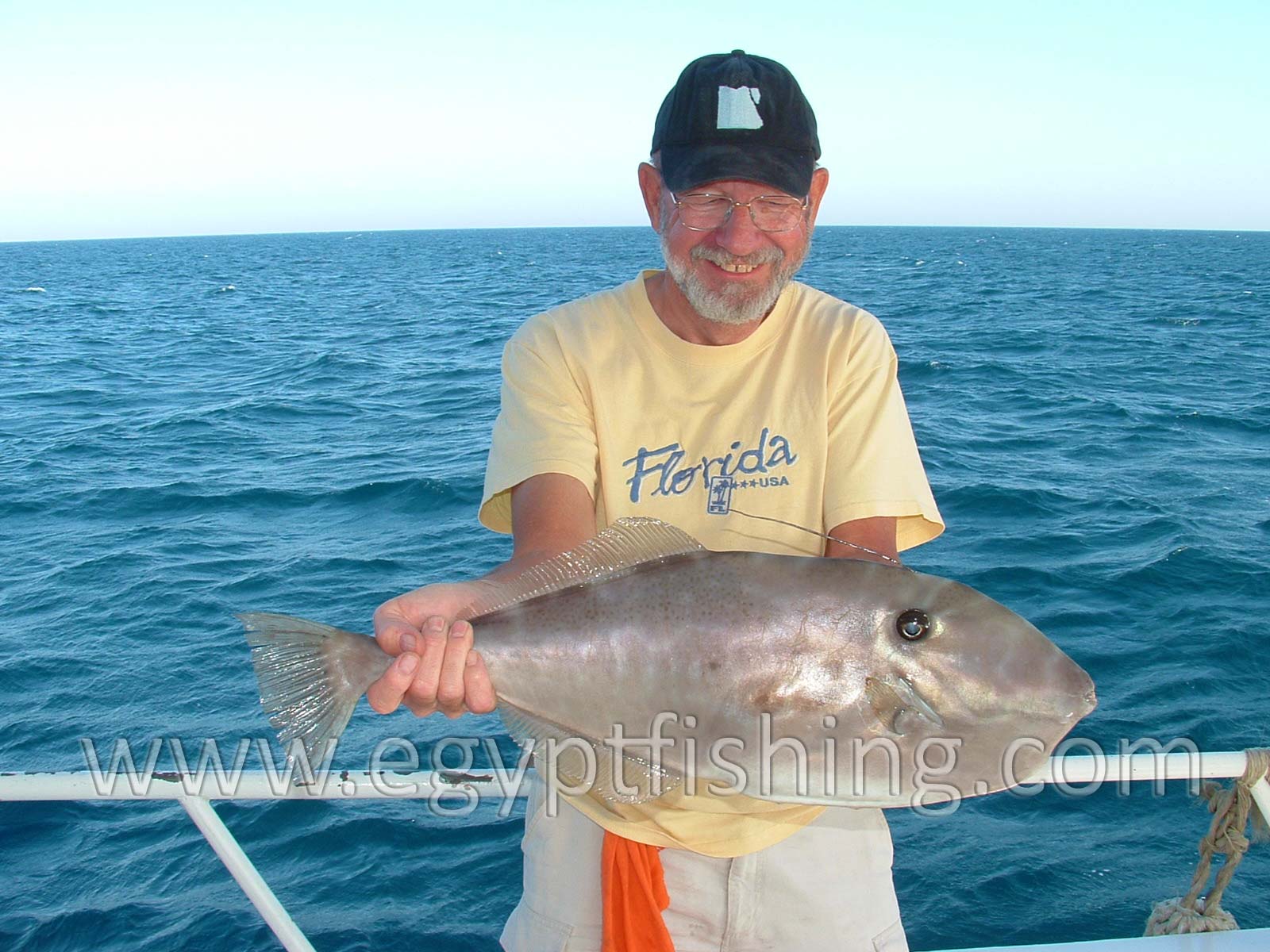 Red Sea Fishing in Egypt: Page 6 (Unicorn Leather Jacket)